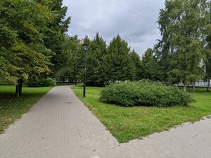 Зеленинский сад (Saint Petersburg, Zeleninskiy sad), meydan  Saint‑Petersburg'dan