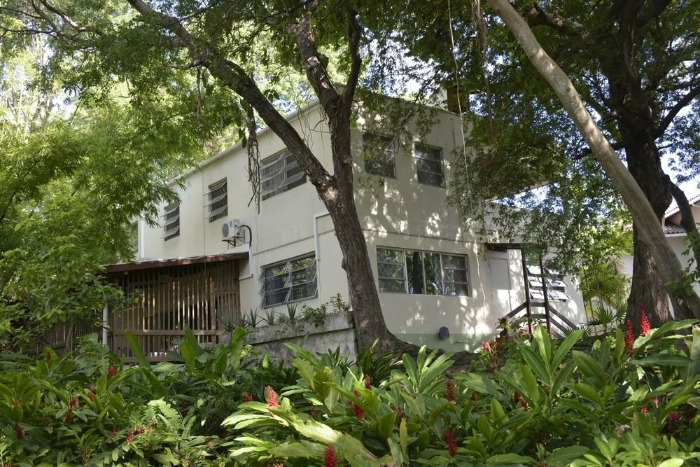 Otel Dover Woods Guest House, Dünya, foto