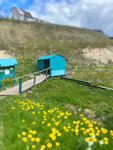 Spring, stream (Bryansk Region, Vygonichsky District, Kokinskoye selskoye poseleniye, derevnya Goritsy), pınar, çay  Brianskaya oblastından