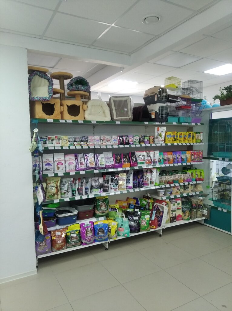 Petshop Всем Хвост, Novosibirskaya oblastı, foto