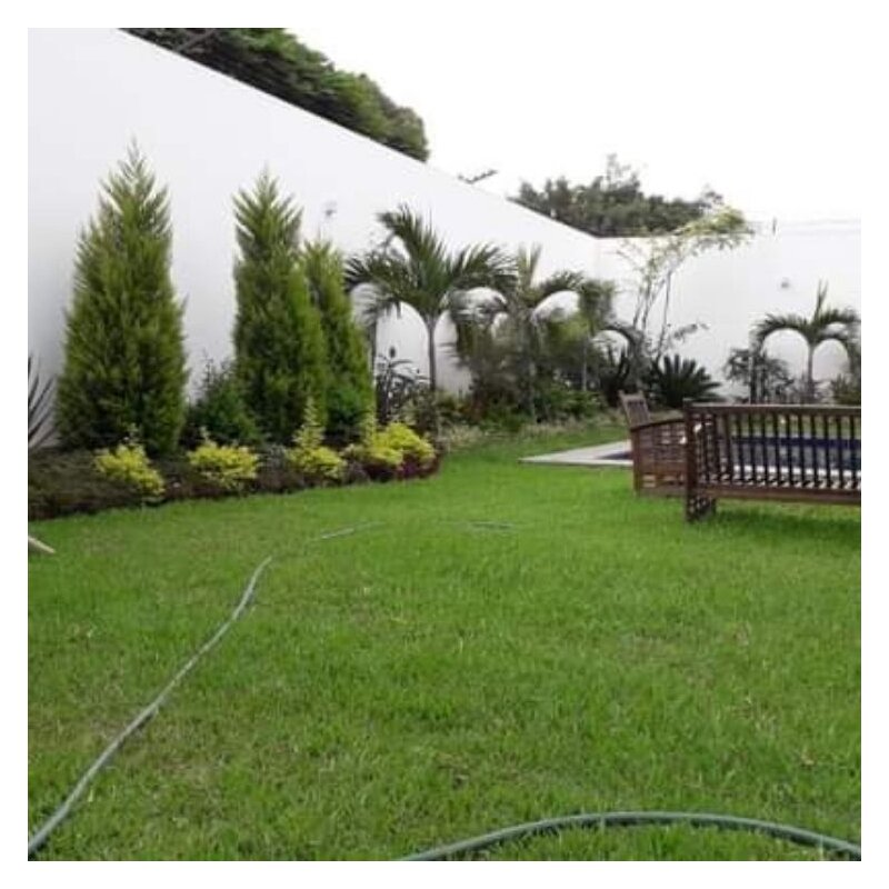 Bahçe ekipmanları ve teknolojileri N&l Gardening - Landscaping and Technified Irrigation, Lima, foto