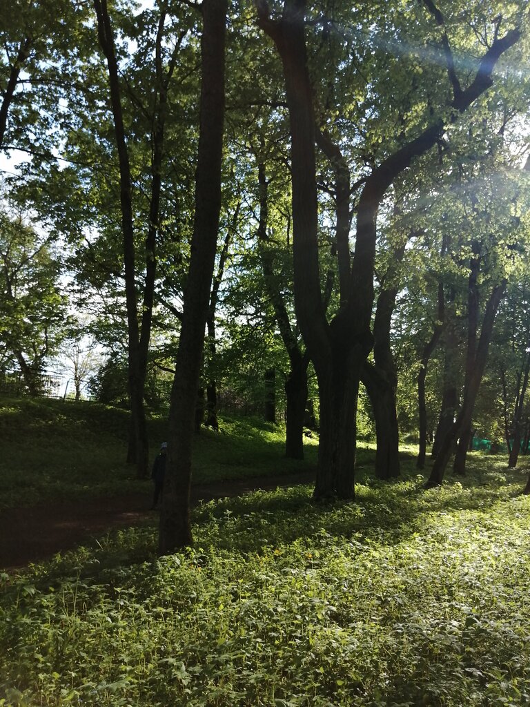 Kültür ve eğlence parkları Ботанический памятник природы республиканского значения Парк Руткевичи, Grodnenskaya oblastı, foto