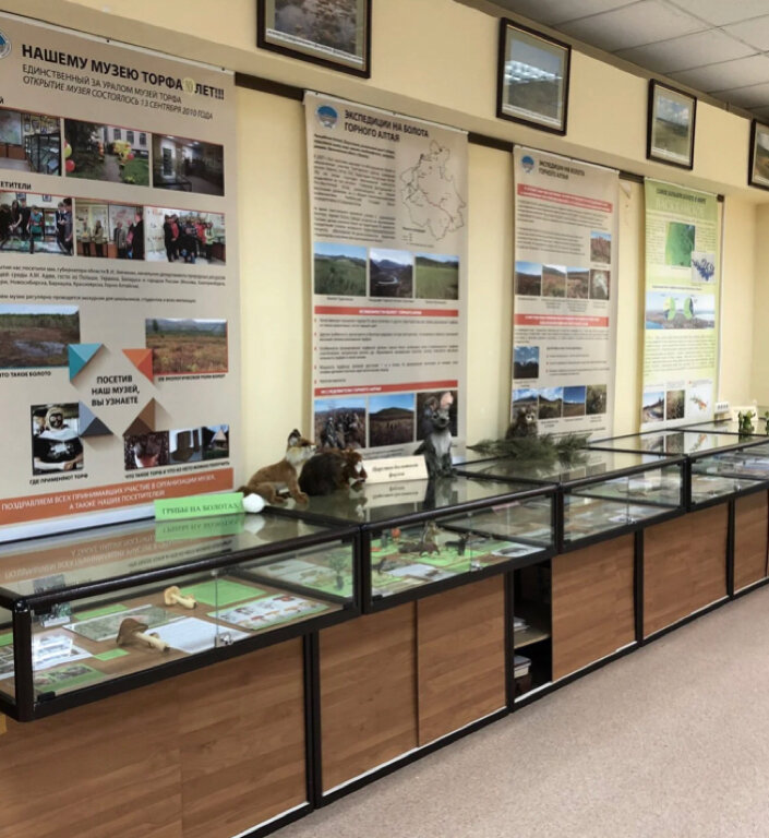 Müzeler ve sanat galerileri Peat Museum TSPU, Tomsk, foto