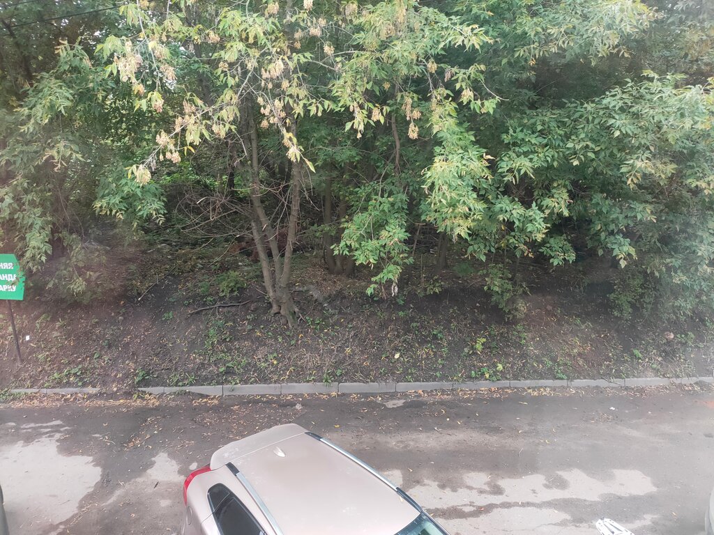 Çöp alanları Trash and garbage disposal area, Rostov, foto