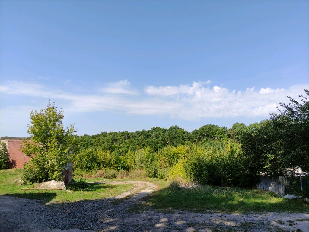 Orman урочище Гринёвское, Belgorod, foto
