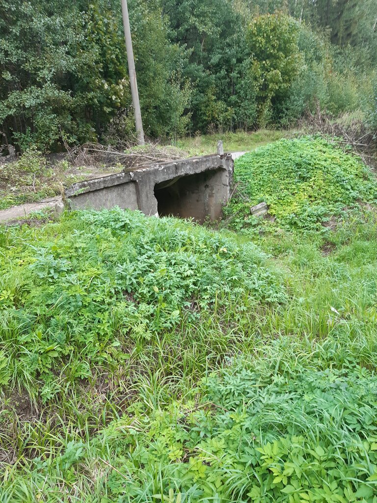 Turistik yerler Мост Ораниенбаумской электрической линии, Peterhof, foto