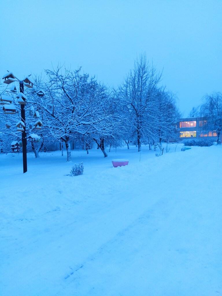 Anaokulları Детский сад Светлячок, Brianskaya oblastı, foto