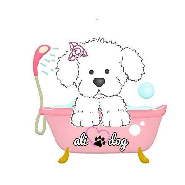 Evcil hayvan kuaförleri Peluquería Canina Alidog, Madrid, foto