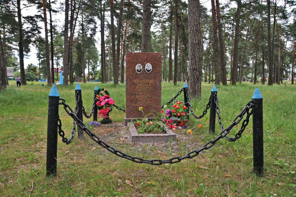 Anıt, heykel Н.М. Невдубскому и Т.И. Невдубской, Seltso, foto