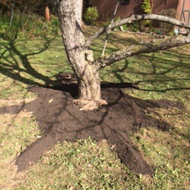 Bahçe ekipmanları ve teknolojileri Roots Up Plant Health Inc, New York Eyaleti, foto