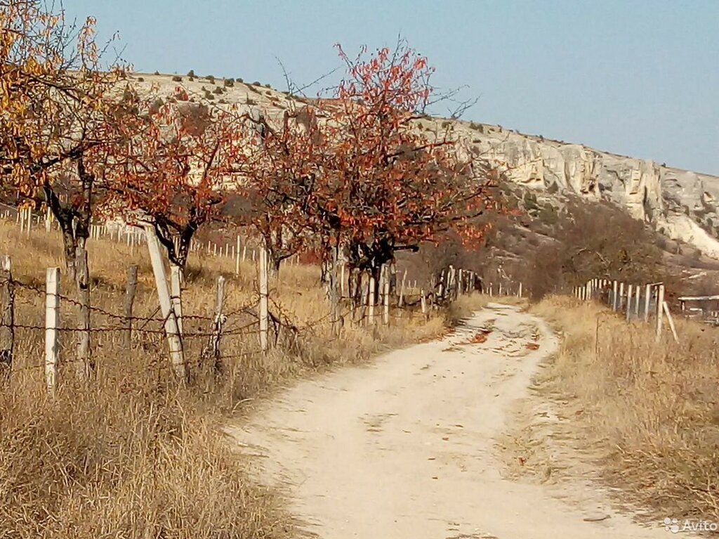 Bahçe Черешневые сады, Kırım Cumhuriyeti, foto