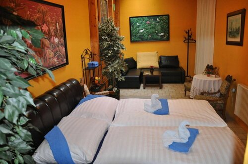 Otel Centrum Tiffany Pension, Domazlice, foto