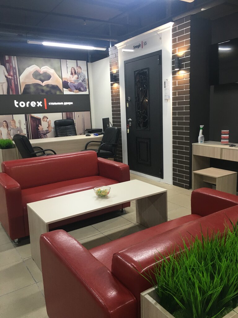 Kapılar Торекс, Moskova ve Moskovskaya oblastı, foto