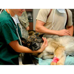 Veterinaria Becher (GOMEZ CARREÑO #5619, Talcahuano), veteriner klinikleri  Talcahuano'dan