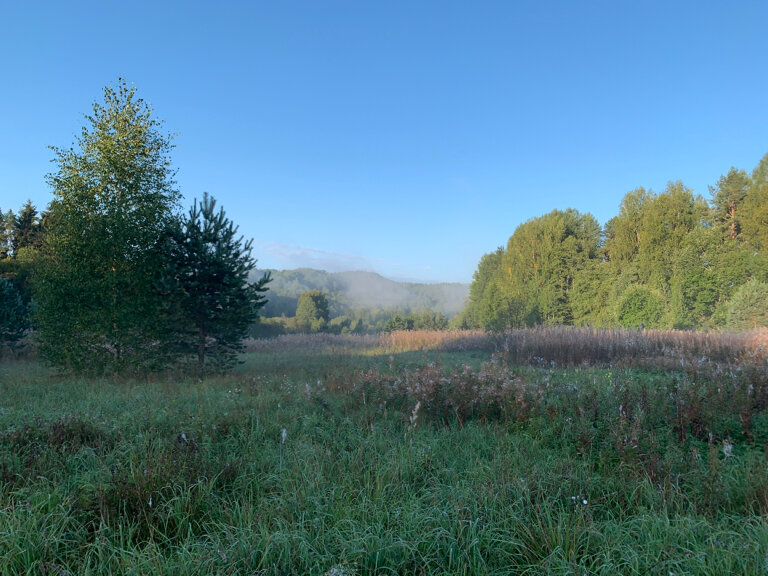 Seyir terası Смотровая площадка, Saint‑Petersburg ve Leningradskaya oblastı, foto