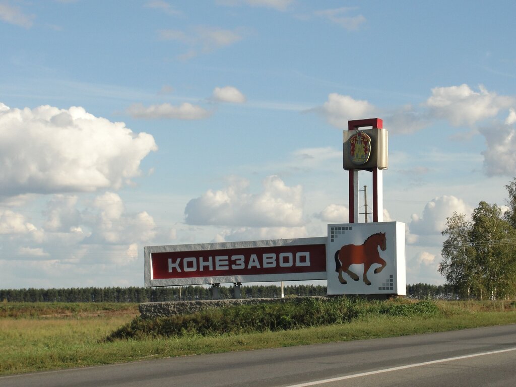 Hayvancılık ФГУП Племенной конный завод Мордовский, Mordovya, foto