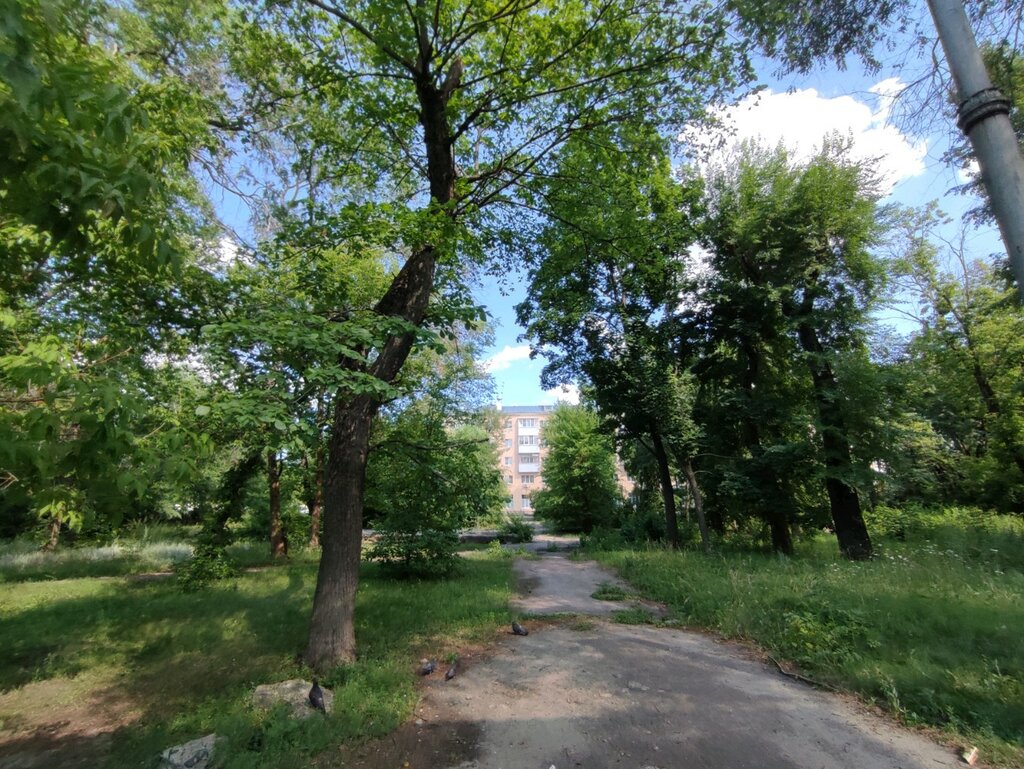 Kültür ve eğlence parkları сквер Циолковский, Voronej, foto