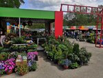 Food Market (Moscow Region, Naro-Fominsk, mikrorayon Tsentralny), gıda pazarı  Naro‑Fominsk'ten