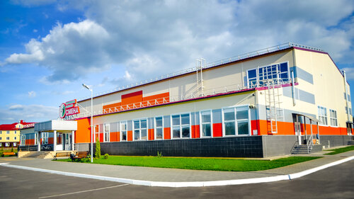 Çok amaçlı spor tesisleri Физкультурно-оздоровительный комплекс, Voronejskaya oblastı, foto