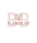 BbFlower.by (Zhylunovicha Street No:26), çiçekçiler  Minsk'ten