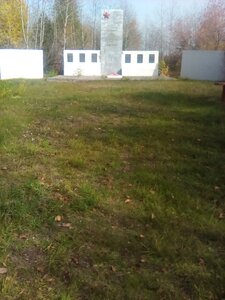 Обелиск Победы в Великой отечественной войне 1941-45 гг. (Kurgan Region, Ketovskiy munitsipalny okrug, posyolok selskogo tipa Chashinskiy), anıt, heykel  Kurganskaya oblastından