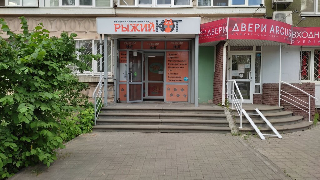 Veteriner klinikleri Рыжий кот, Nijni Novgorod, foto