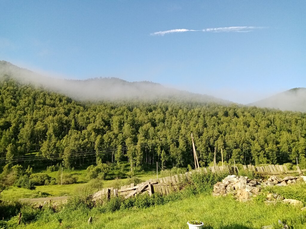 Evcil hayvan yetiştiricileri Горный Хрусталь Алтая, Altayski krayı, foto