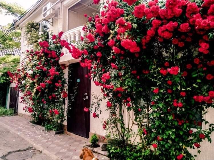 Konuk evi Гостевой дом У Людмилы, Kırım Cumhuriyeti, foto