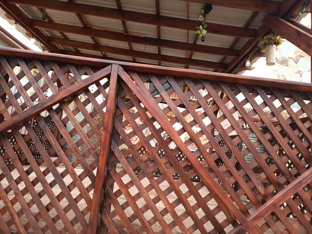 Kafe The X juicery and eatery, Dünya, foto