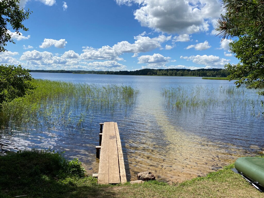 Kamp alanları Campsite Chernishki, Vitebskaya oblastı, foto
