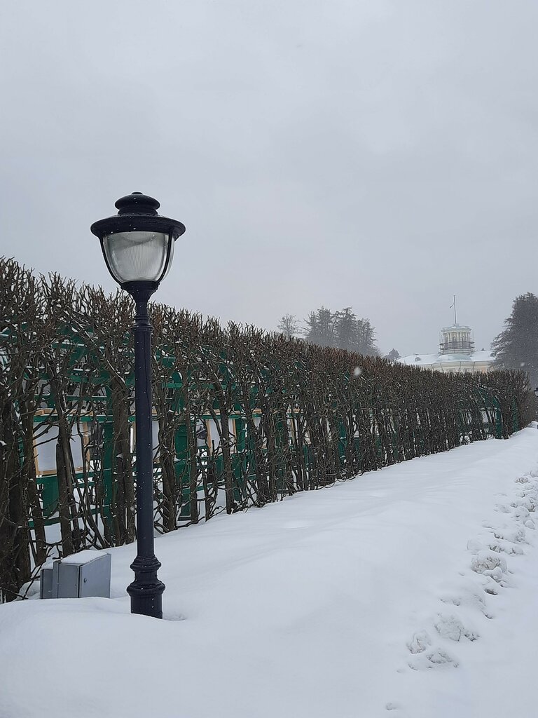 Doğa Западное берсо, Moskova ve Moskovskaya oblastı, foto