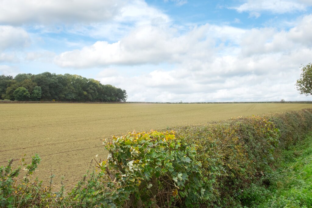 Arazi dizisi David Wilson Homes - The Skylarks, İngiltere, foto