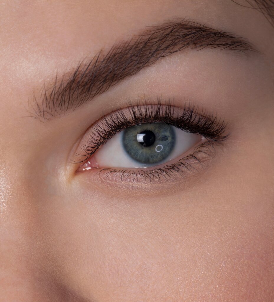 Kaş ve kirpik salonu Honey, Moskova, foto