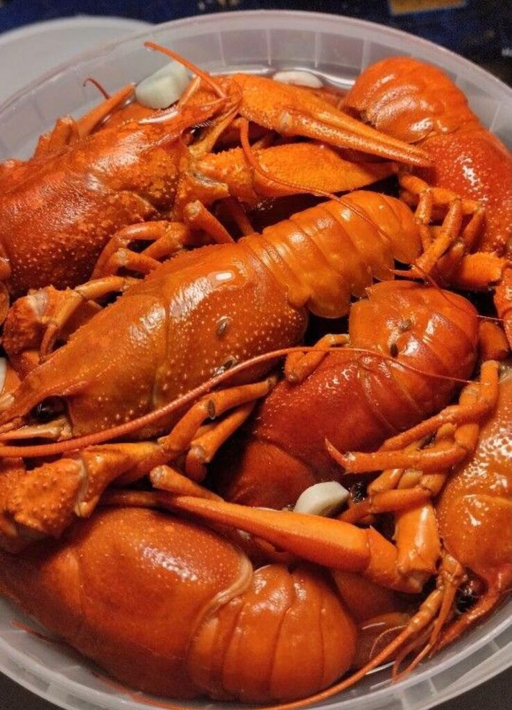 Balık ve deniz ürünleri Большая Клешня раки в Санкт-Петербурге, Kudrovo, foto