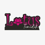Mersin Lotus Koltuk Yıkama (Mersin, Akdeniz, Çankaya Mah., 4716. Sok., 12), temizlik şirketleri  Mersin'den