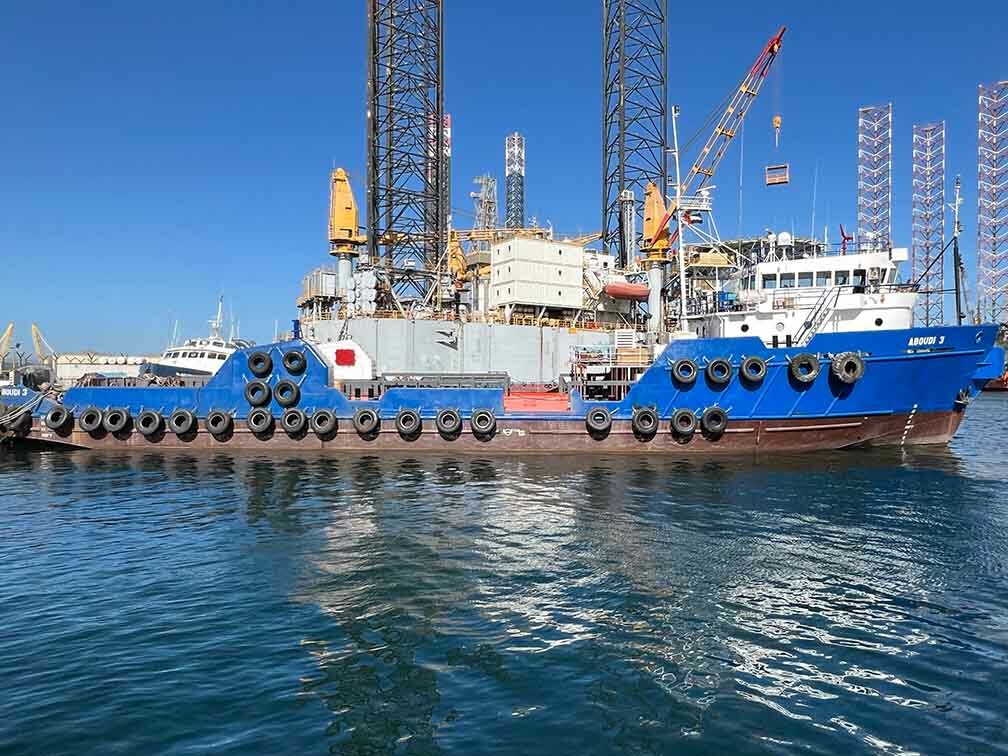 Kargo firmaları Meral Shipping, Dubai, foto