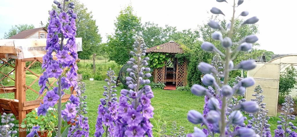 Konuk evi Guest house At the Rumyantsevs, Yaroslavskaya oblastı, foto