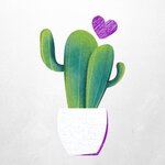 Gladkiy Cactus (Krestyanskiy Drive No:10), erotik shoplar  Yaroslavl'dan