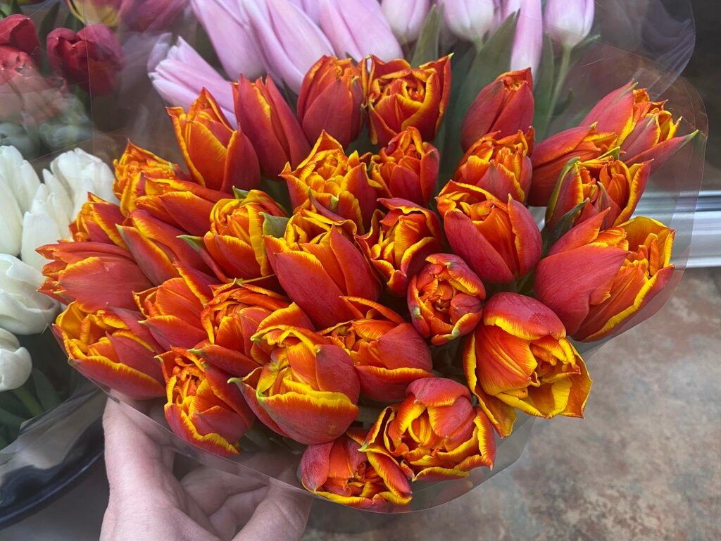 Çiçekçiler Magia Cvetov, Krasnoyarsk, foto