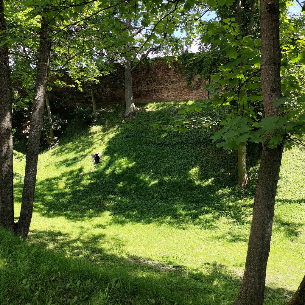 Turistik yerler Остатки оборонительного рва, Pravdinsk, foto