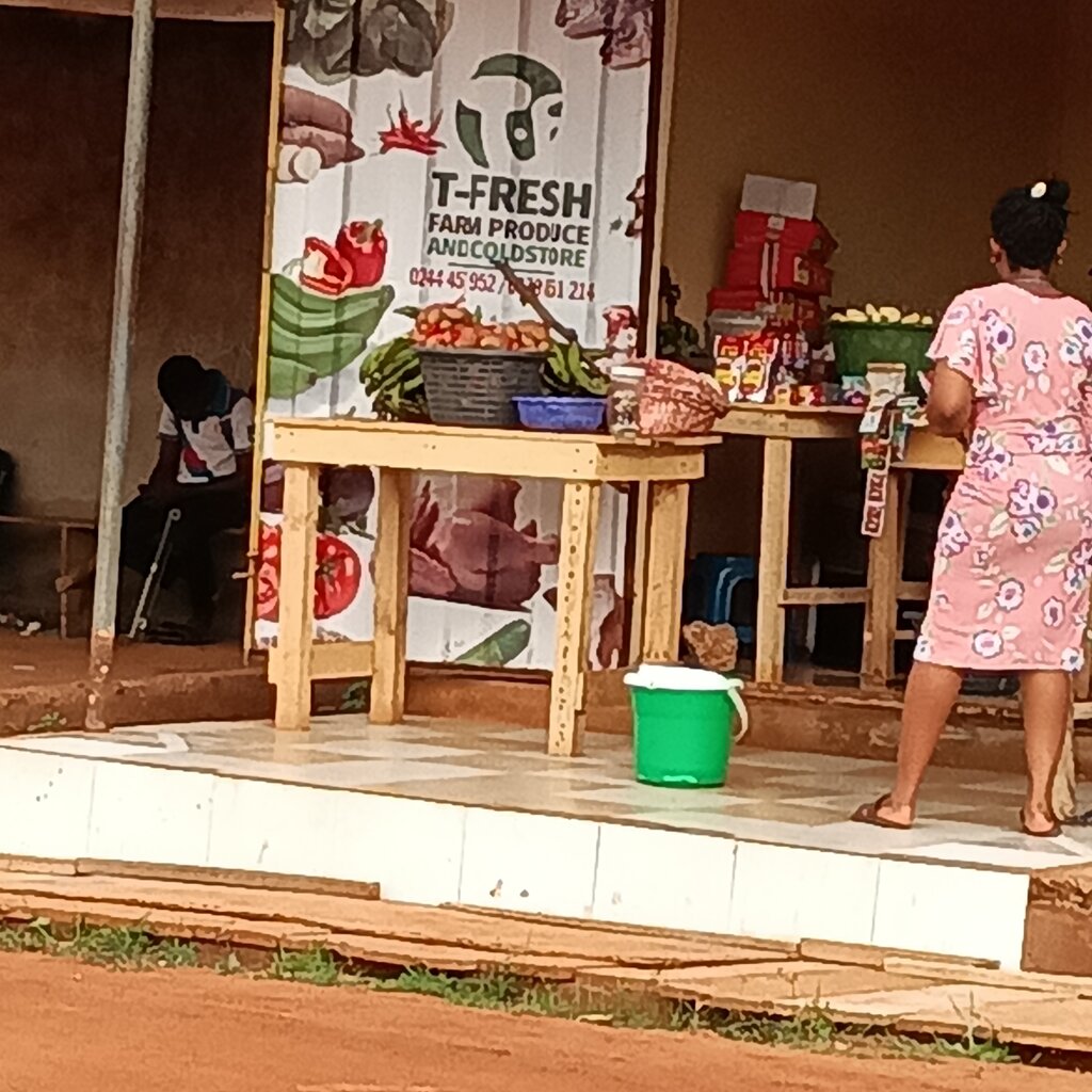Tarım firmaları T-Fresh farm produce, Dünya, foto