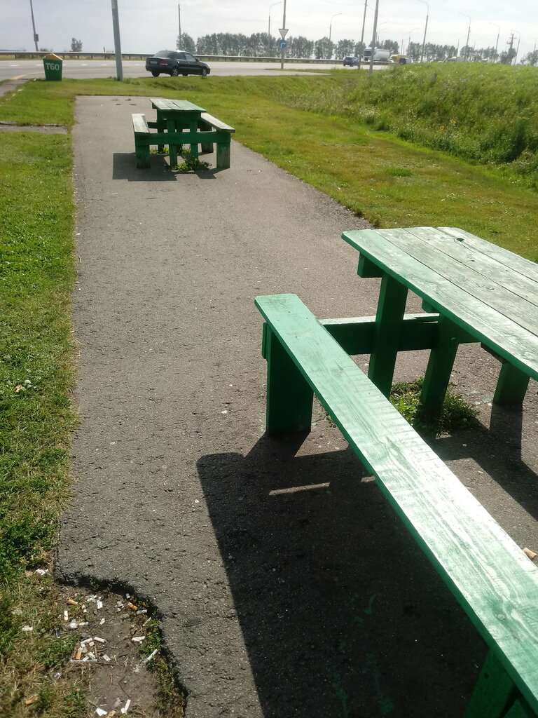Yol kenarı dinlenme alanı Придорожная зона отдыха, Tulskaya oblastı, foto