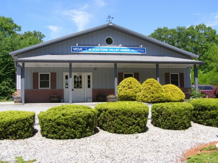 Evcil hayvan kuaförleri Vca Blackstone Valley Animal Hospital, Massachusetts, foto