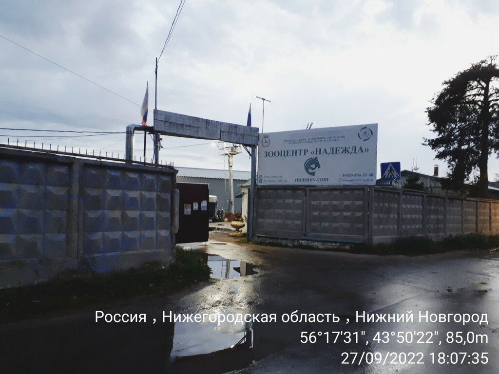 At ve binicilik kulüpleri Зооцентр Надежда, Nijni Novgorod, foto