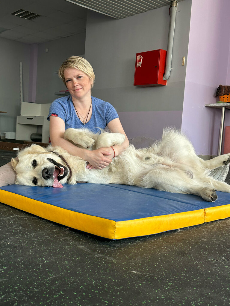 Hayvanat bahçesi merkezi Терра Догс, Petrozavodsk, foto