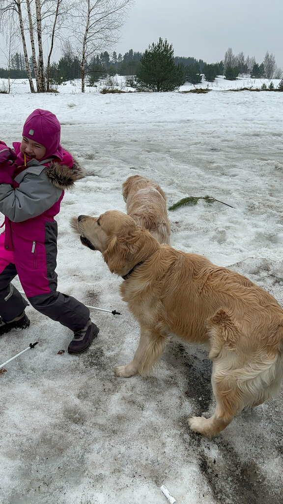 Pınar, çay Spring, stream, Saint‑Petersburg, foto