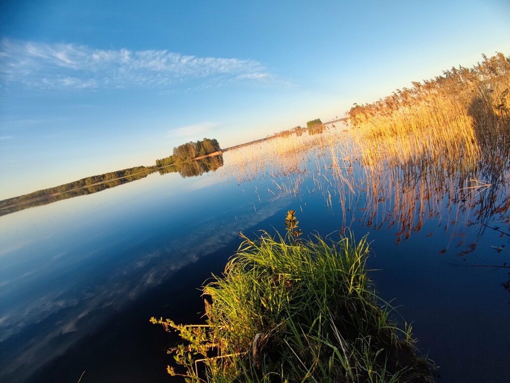 i̇skele Jetty , Tverskaya oblastı, foto