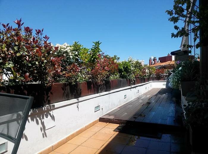 Ortaokul Arcadia Jardines Y Paisajes, Madrid, foto
