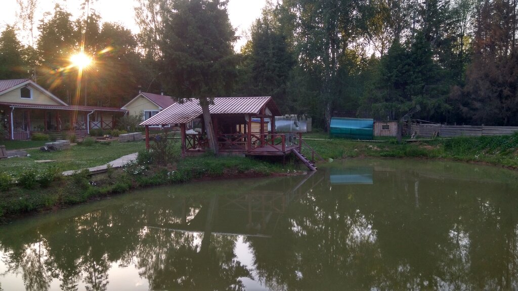 Avcılar ve balıkçılar Дикая утка, Udmurtiya, foto