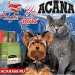 Acana-Orijen korma (10 Let Oktyabrya Street No:195Б), petshop  Omsk'tan